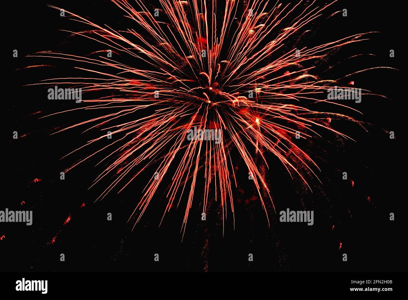Bright festive fireworks against the night sky. Firework Fiery flowers ...