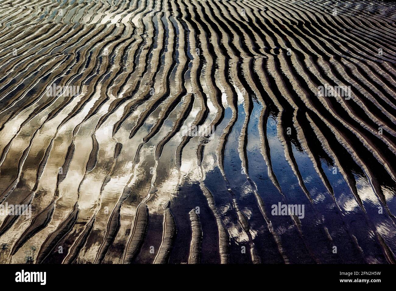 Ribbed sand hi-res stock photography and images - Alamy