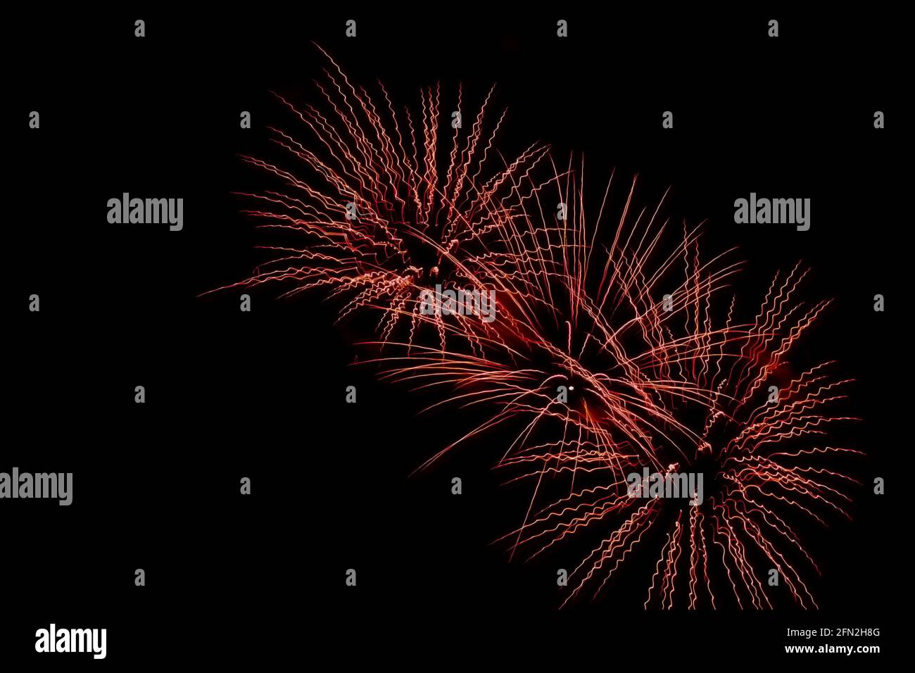 Bright festive fireworks against the night sky. Firework Fiery flowers ...