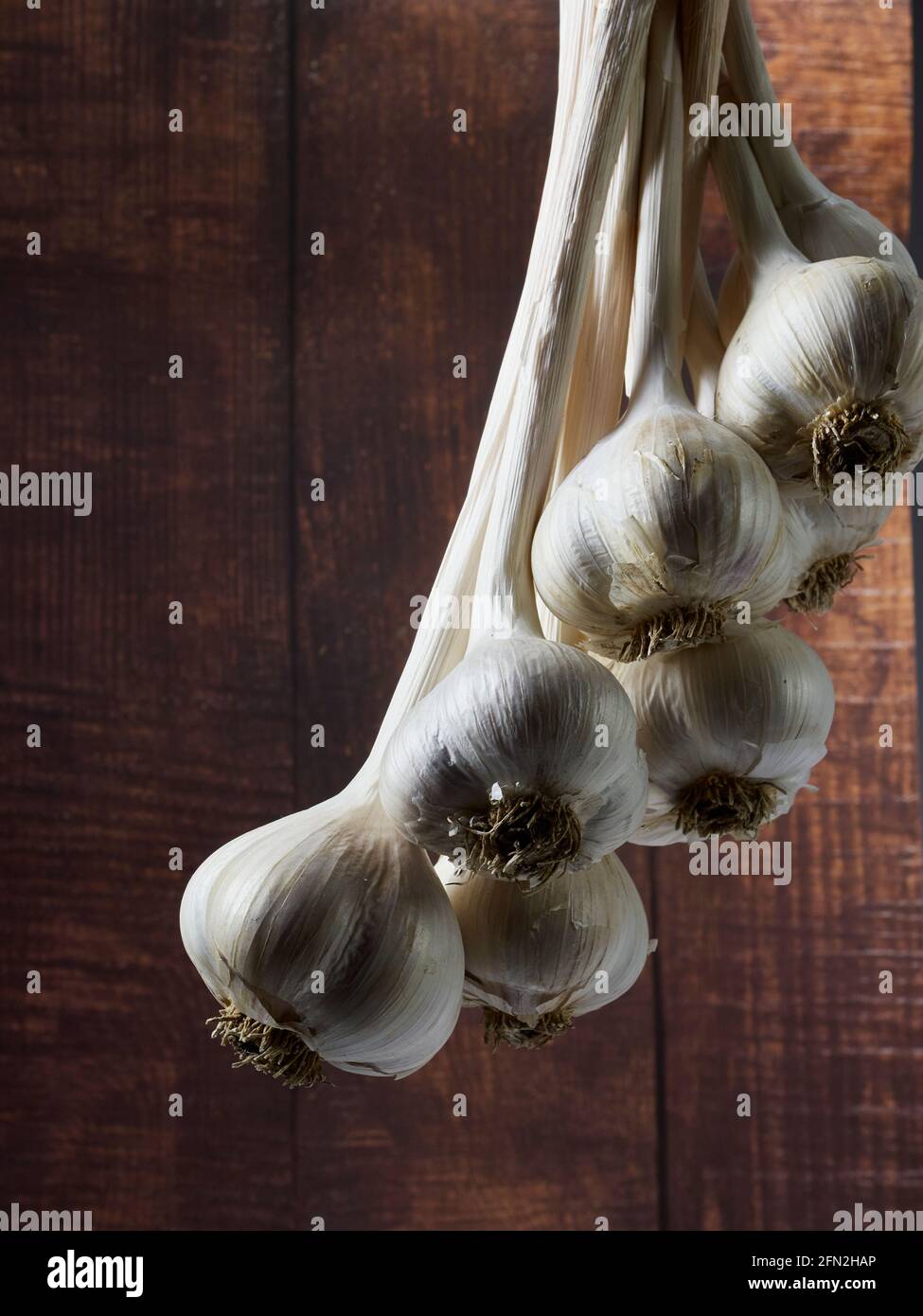 The harvest of a bunch of garlic hung drying and spinning slowly Stock ...