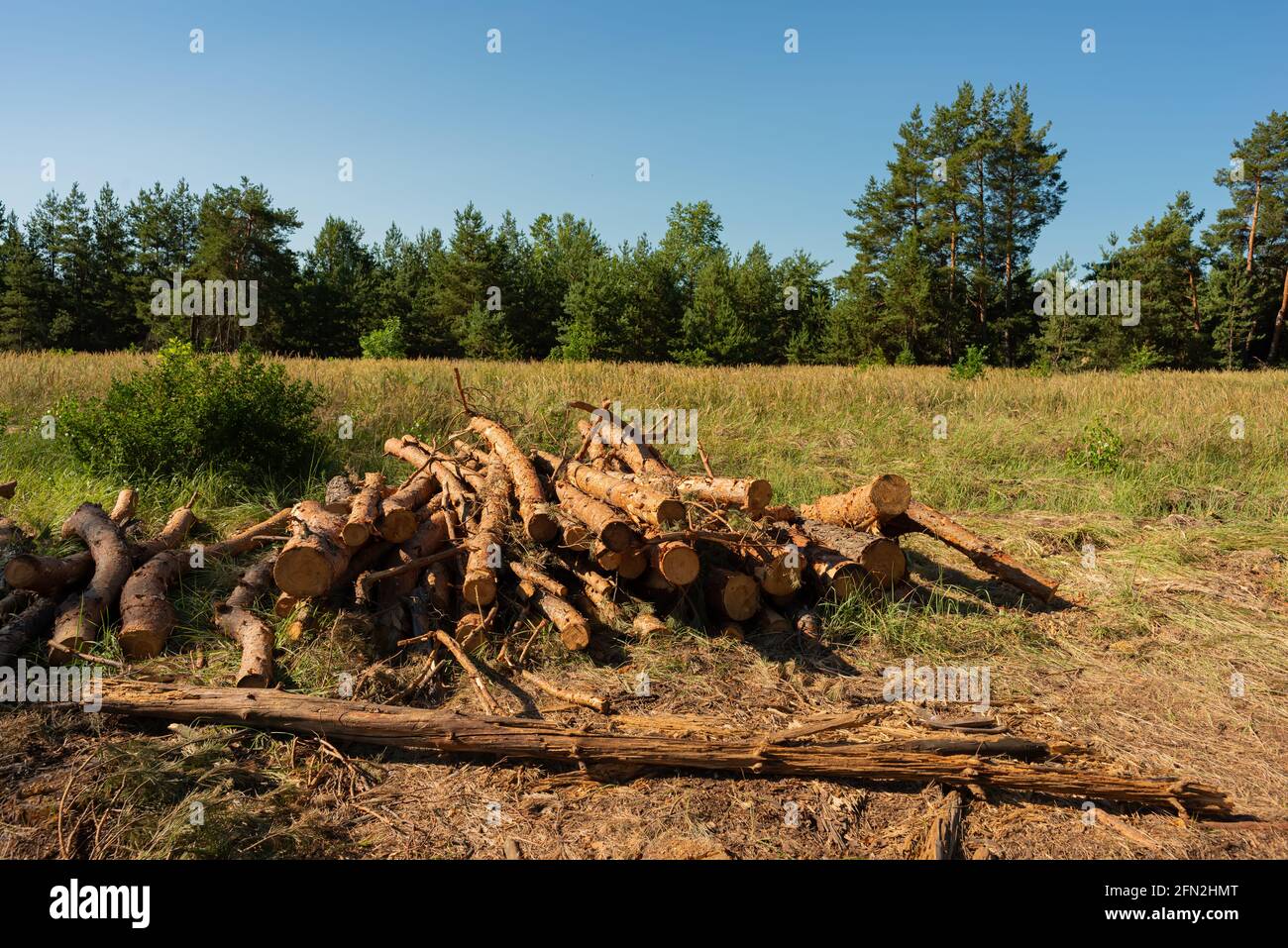 Uncontrolled deforestation hi-res stock photography and images - Alamy
