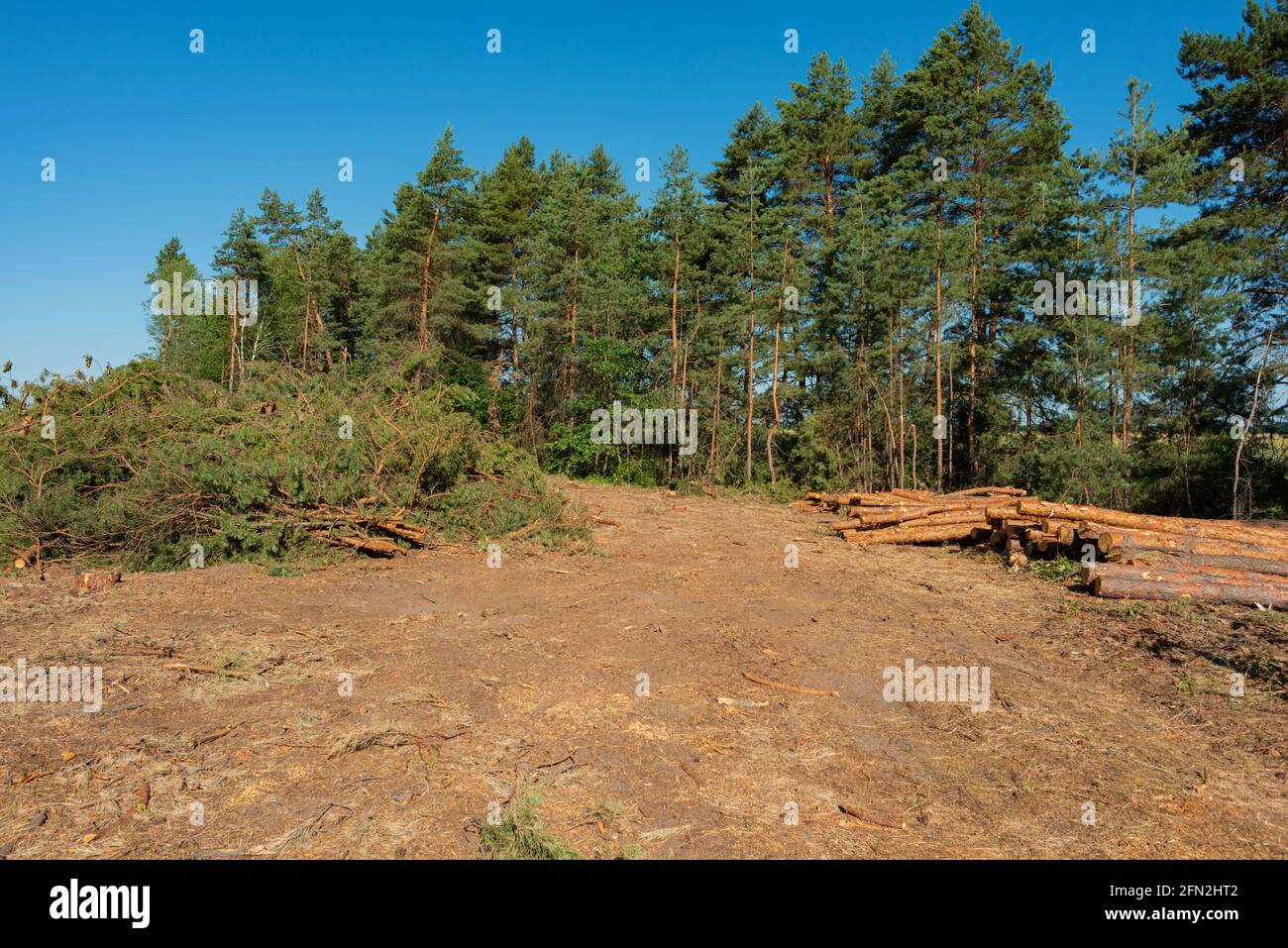 Uncontrolled deforestation hi-res stock photography and images - Alamy