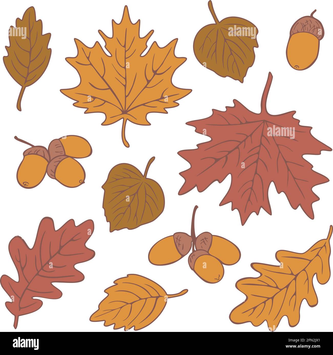 Fall Vector