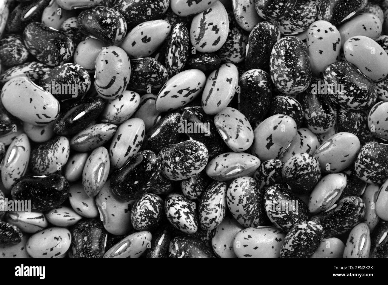 Dry bean seeds texture. Black and white beans. Background Stock Photo ...
