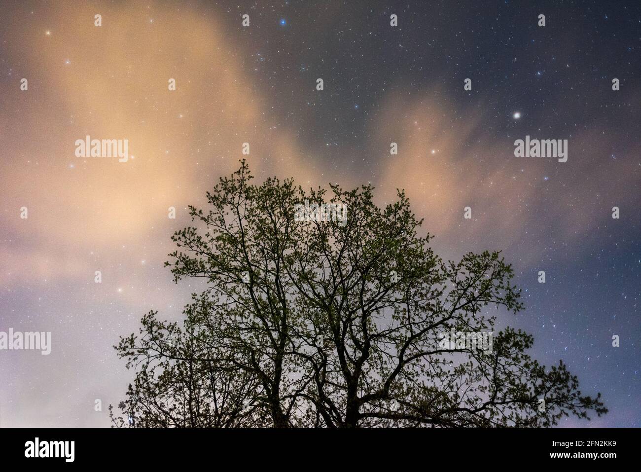 Mesmerizing scenery of a sunset sky Stock Photo - Alamy