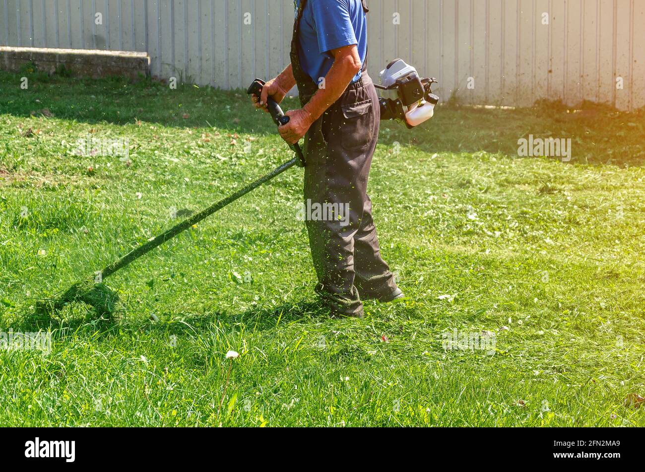 Worker man in protective pants mows the green grass on lawn with ...
