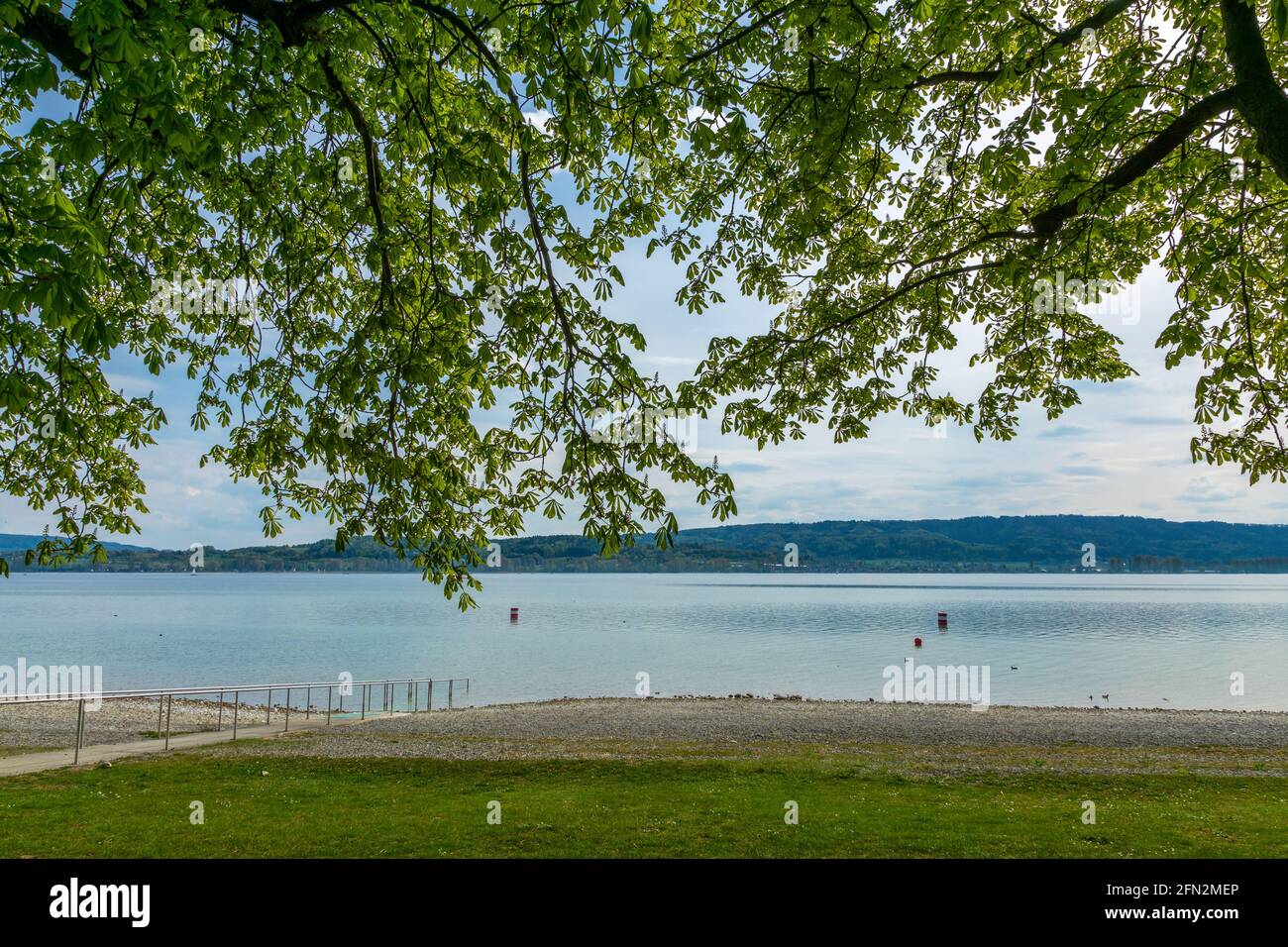 Lake Constance in summer with a view of the lake blue sky Stock Photo ...