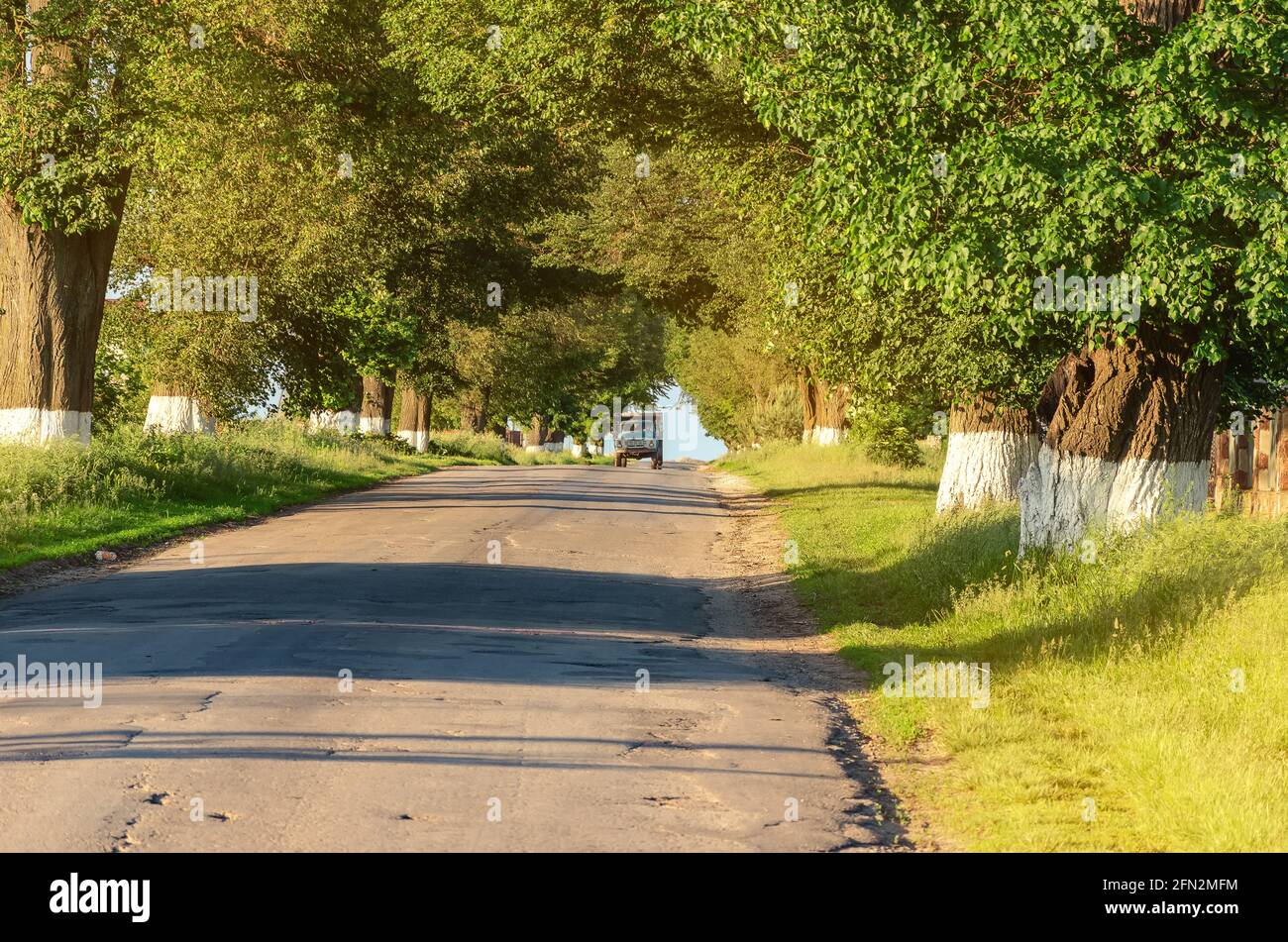 Range poplar trees road hi-res stock photography and images - Alamy