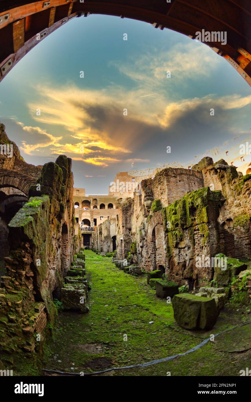 The Colosseum - Colosseo - where the gladiators fought, one of the most ...