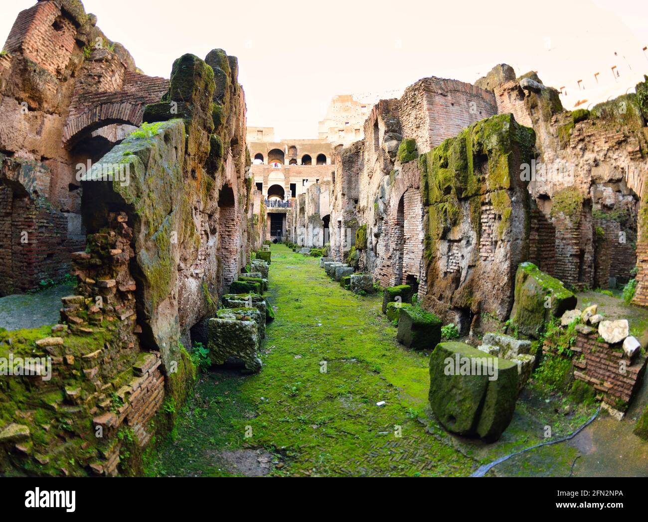 The Colosseum - Colosseo - where the gladiators fought, one of the most ...