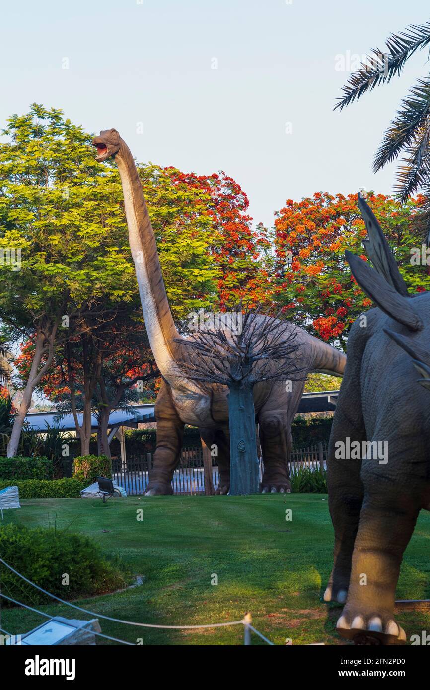 Dubai,UAE - 05.11.2021 - Austrosaurus replica exhibit at dinosaur park ...