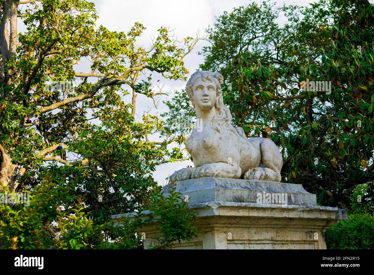 Female stone lion hi-res stock photography and images - Alamy