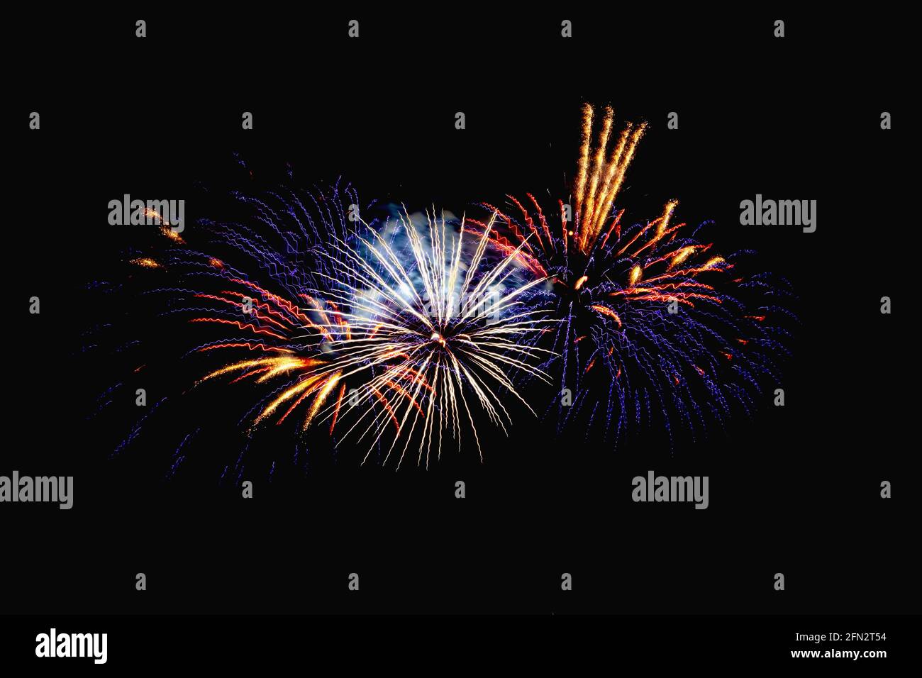 Bright festive fireworks against the night sky. Firework Fiery flowers ...