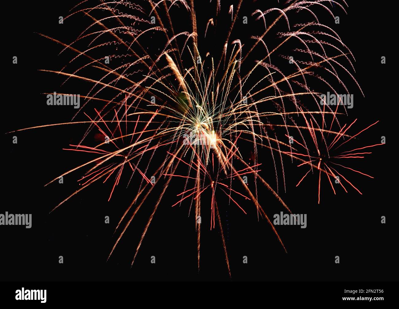 Bright festive fireworks against the night sky. Firework Fiery flowers ...