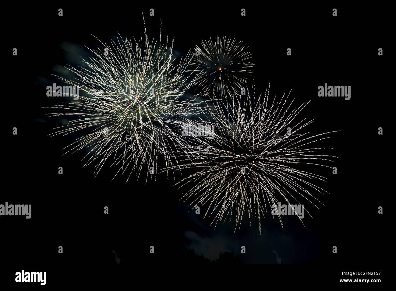 Bright festive fireworks against the night sky. Firework Fiery flowers ...