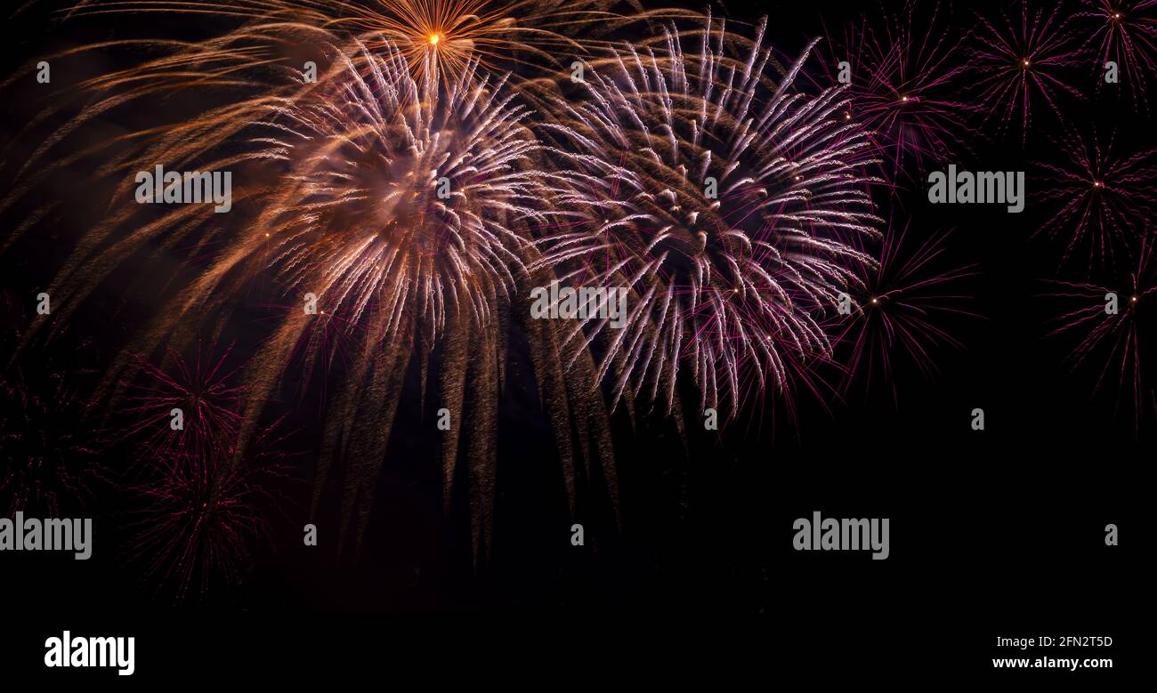 Bright festive fireworks against the night sky. Firework Fiery flowers ...