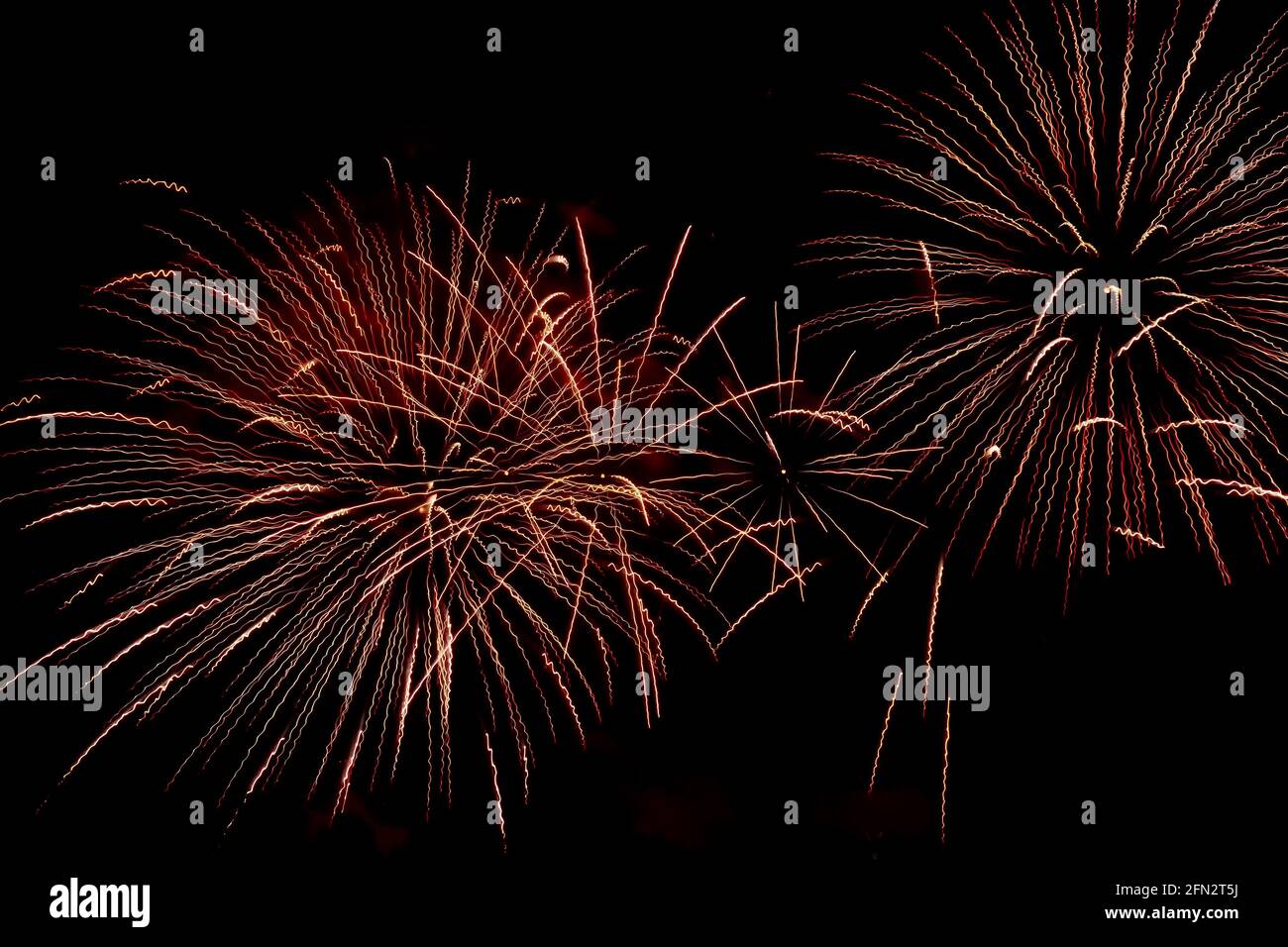 Bright festive fireworks against the night sky. Firework Fiery flowers ...
