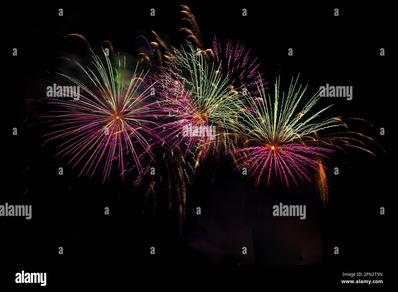 Bright festive fireworks against the night sky. Firework Fiery flowers ...