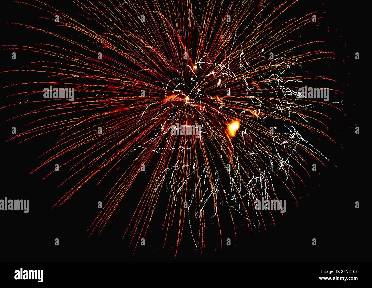 Bright festive fireworks against the night sky. Firework Fiery flowers ...