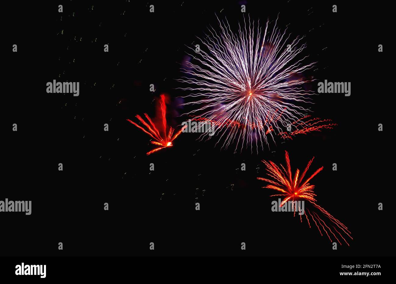 Bright festive fireworks against the night sky. Firework Fiery flowers ...