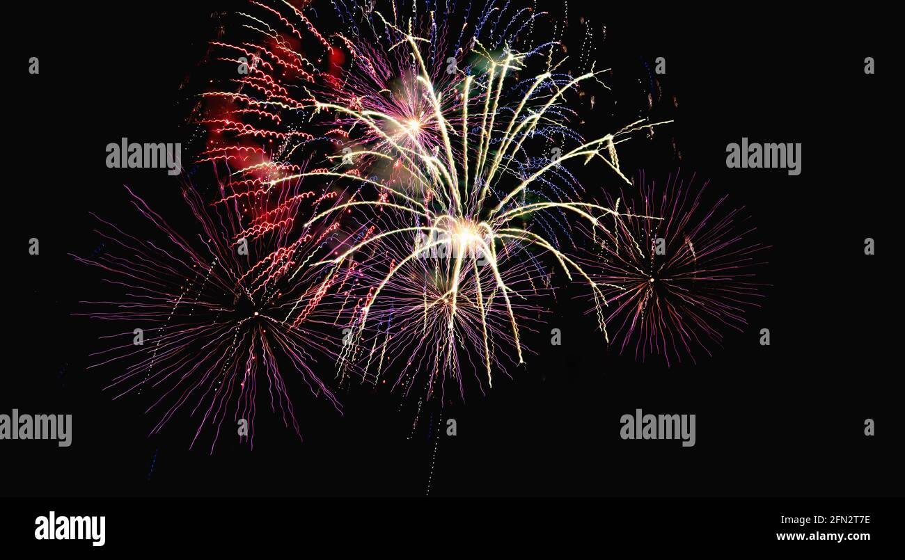 Bright festive fireworks against the night sky. Firework Fiery flowers ...