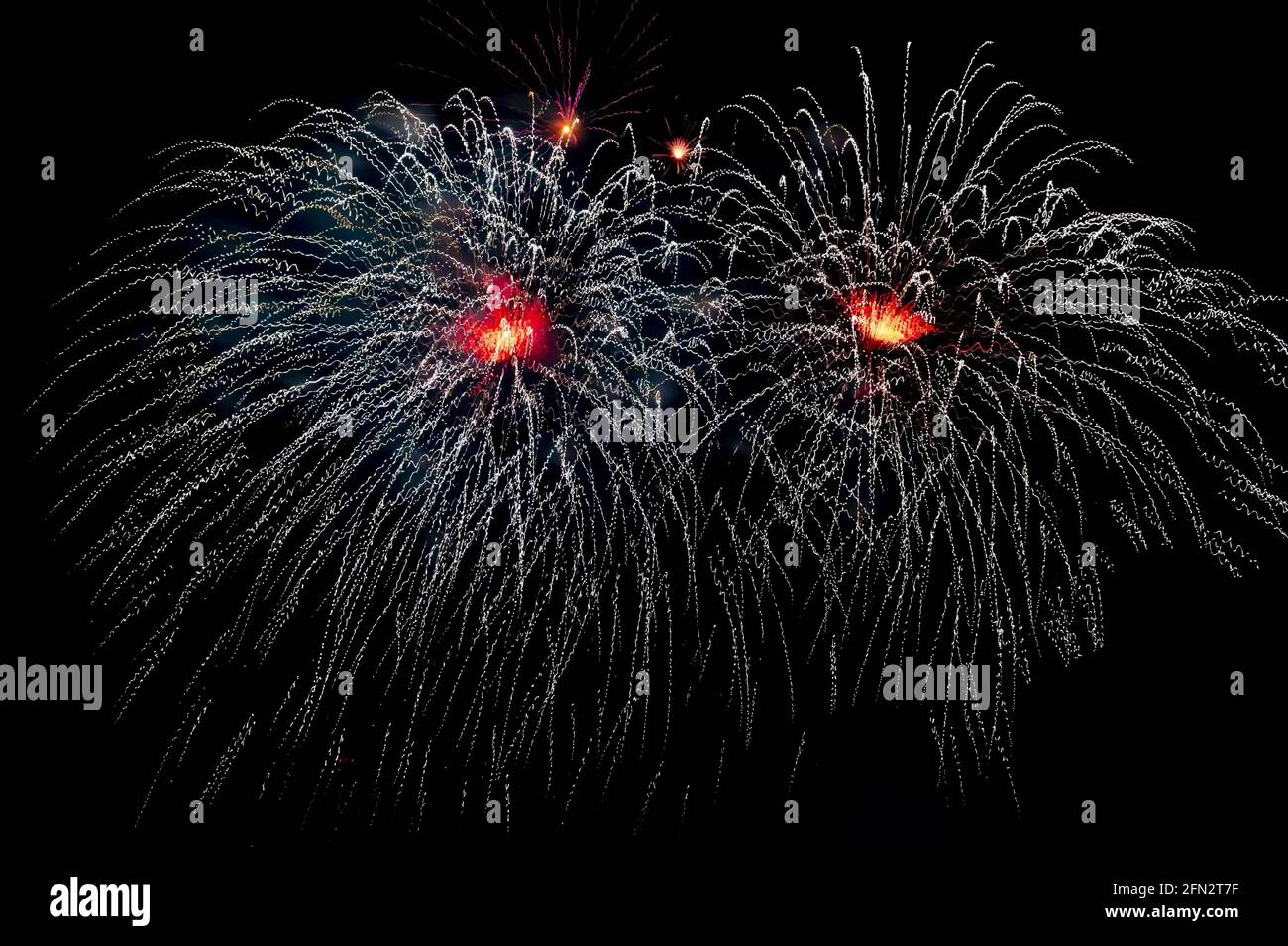 Bright festive fireworks against the night sky. Firework Fiery flowers ...
