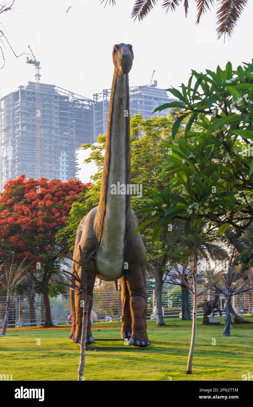 Rapetosaurus hi-res stock photography and images - Alamy