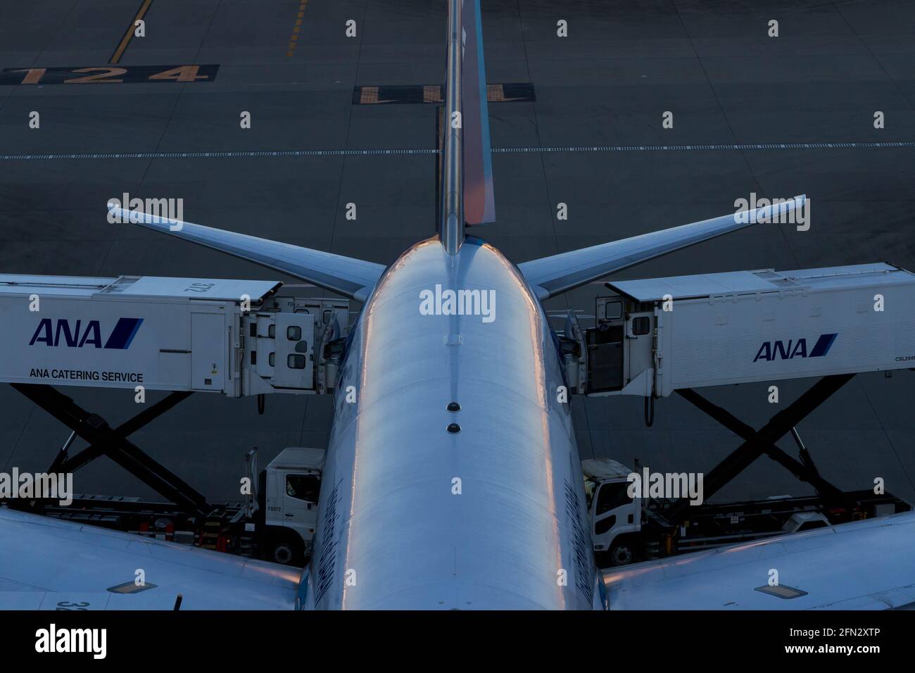 Tokyo, Tokyo, Japan. 1st Feb, 2019. Two ANA (All Nippon Airways ...