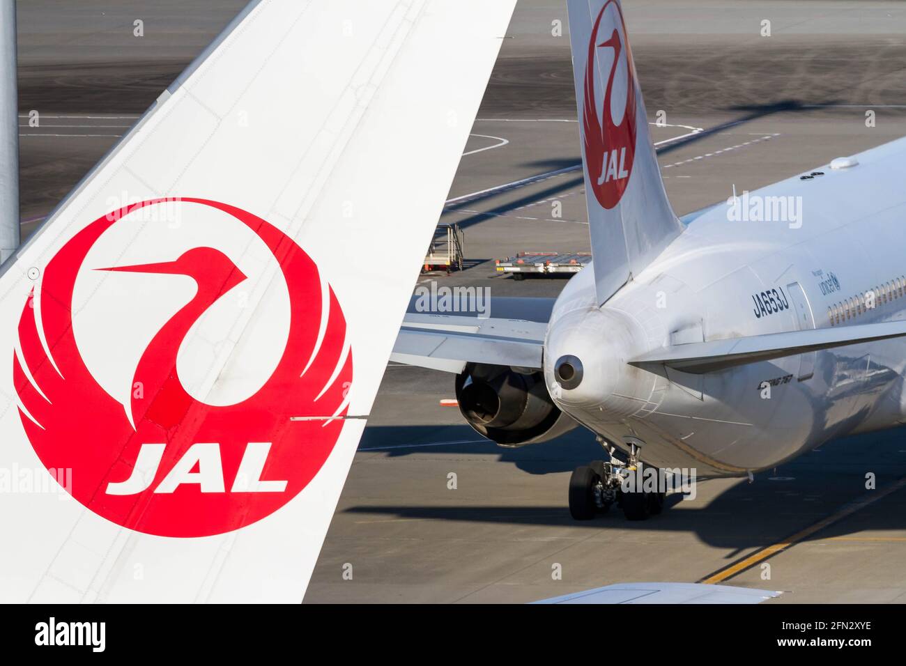 Tokyo, Tokyo, Japan. 1st Feb, 2019. The tail planes of two Japan ...