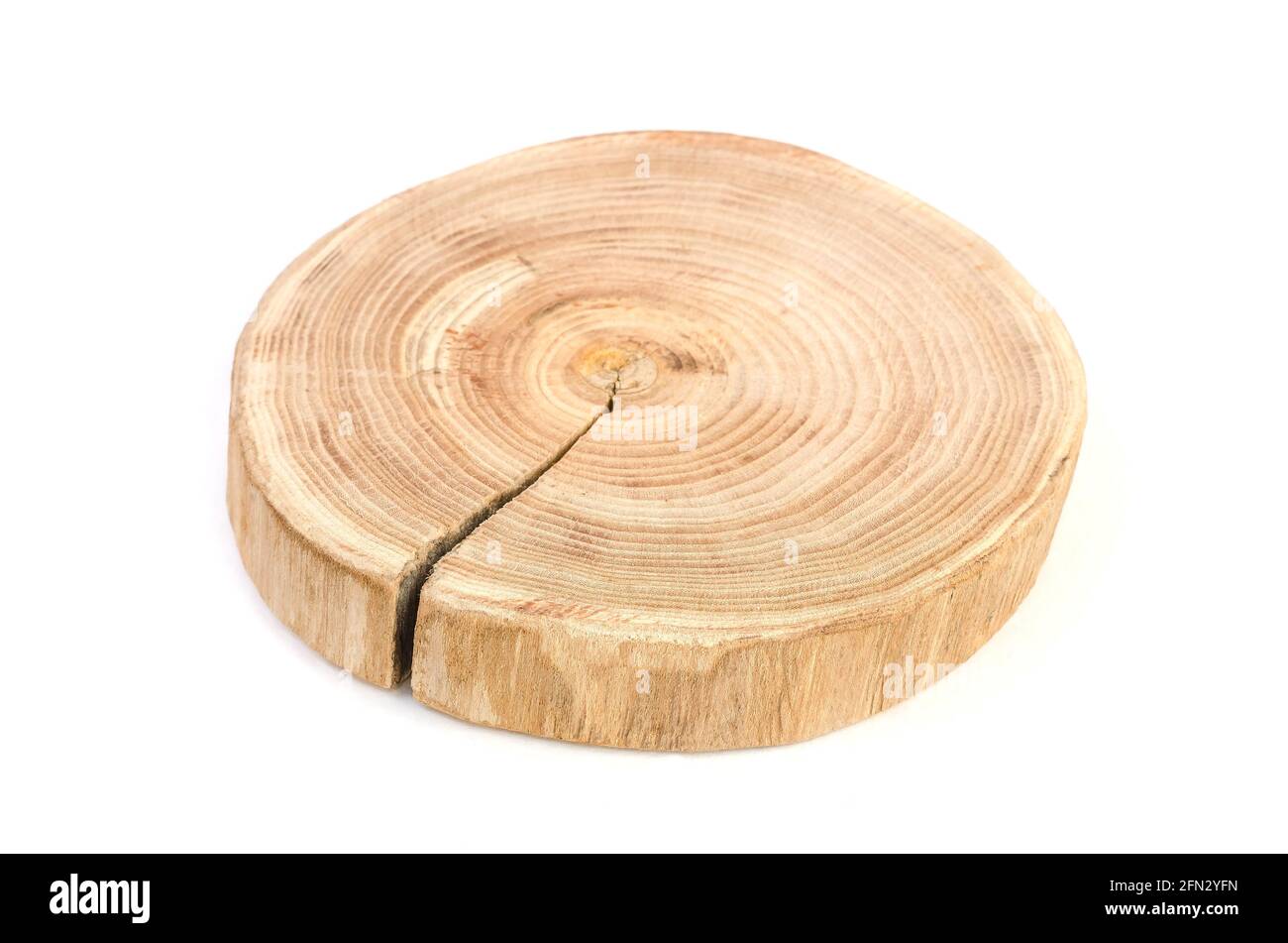 Cross section of a cut wood tree trunk slice with wavy pattern cracks ...