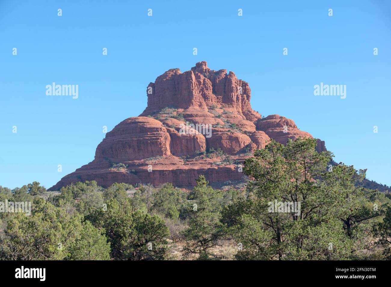 Sedona pine trees hi-res stock photography and images - Alamy
