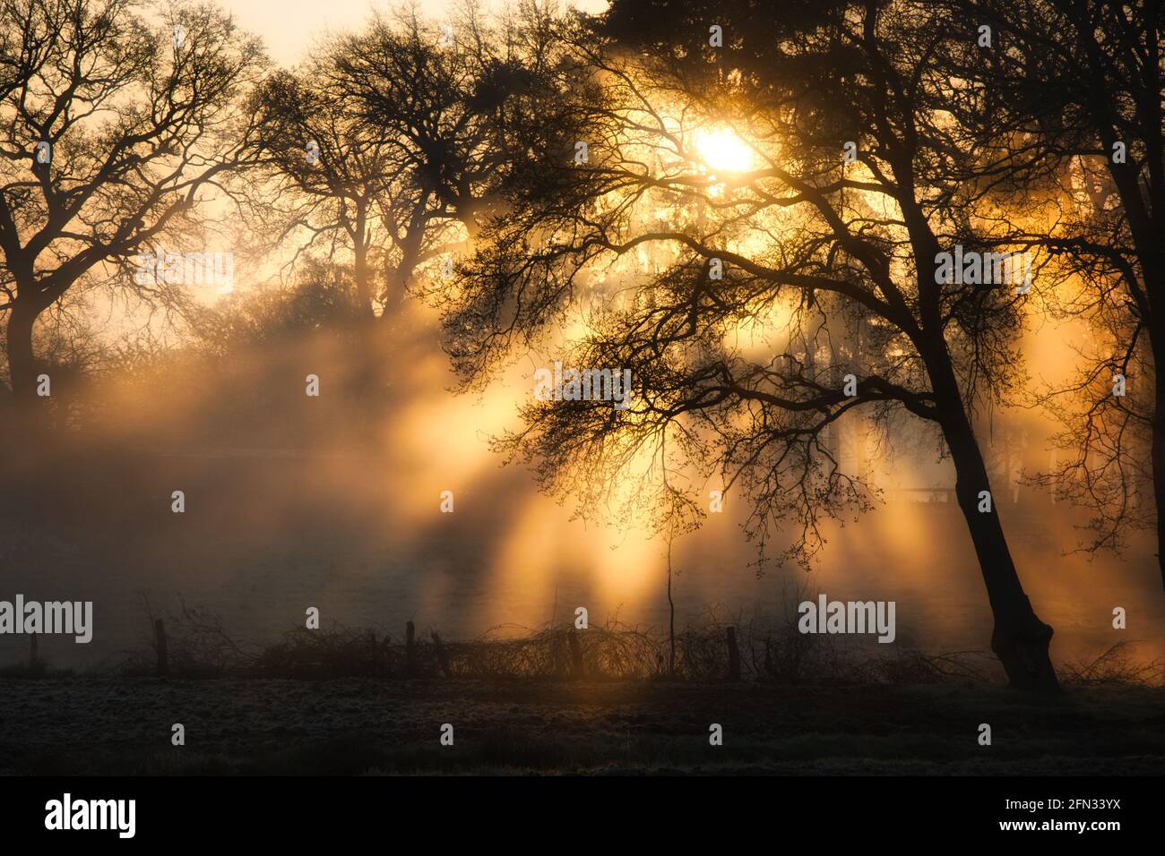 New mood hi-res stock photography and images - Alamy