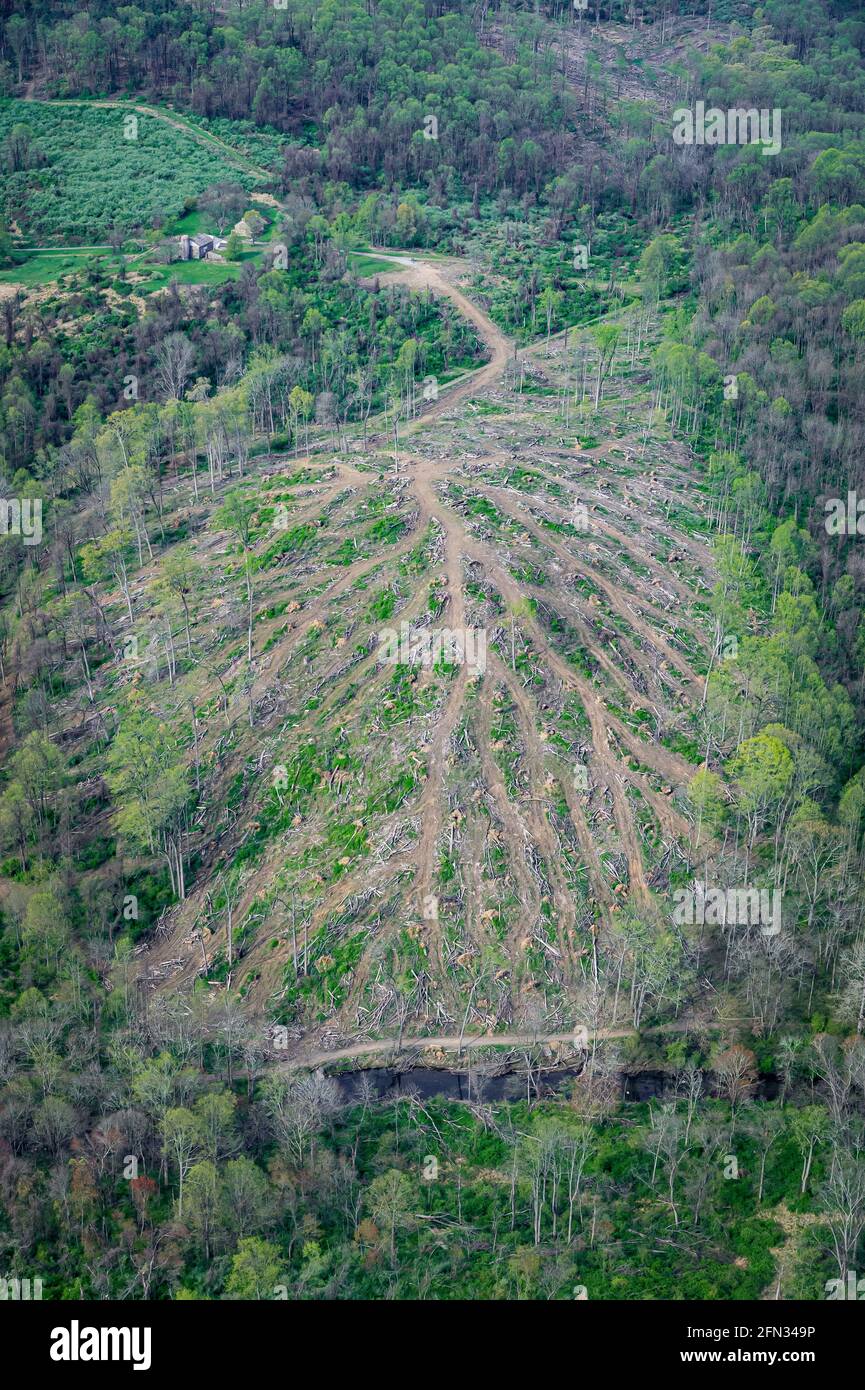Land clearing hi-res stock photography and images - Alamy