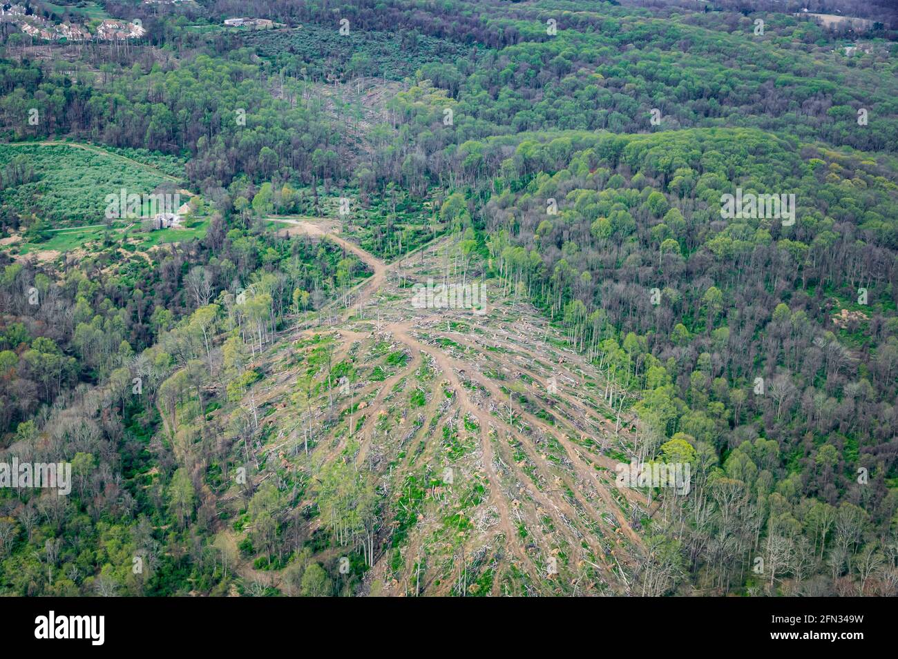 Deforestation hi-res stock photography and images - Alamy