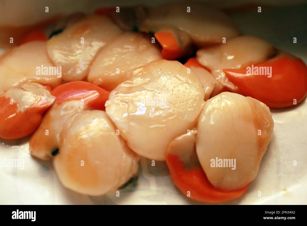 Fresh scallops uncooked Stock Photo - Alamy