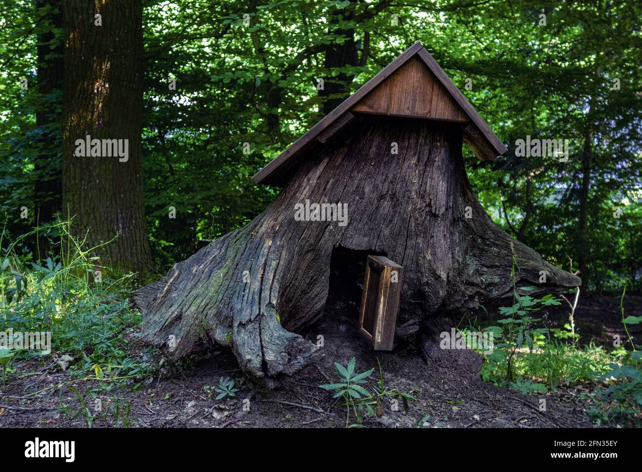 Old stump house in the forest Stock Photo - Alamy