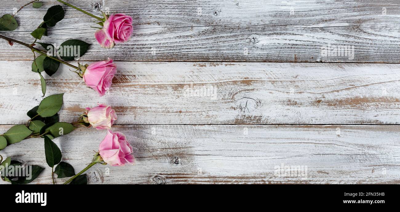 Real pink rose flowers on left side of rustic wooden planks for mothers ...