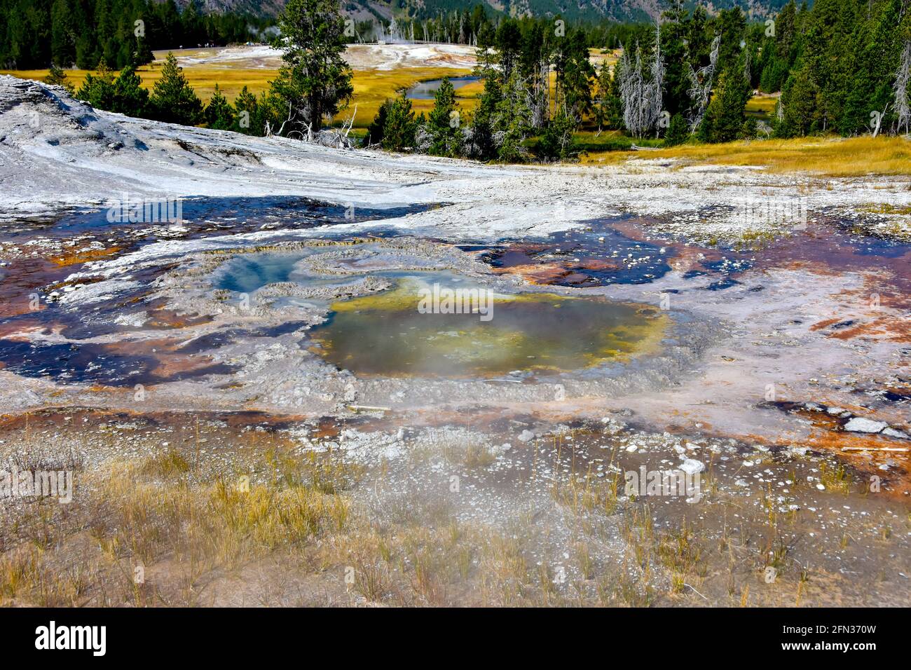 Colorful hot springs on Geyser Hill, Yellowstone National Park Stock ...