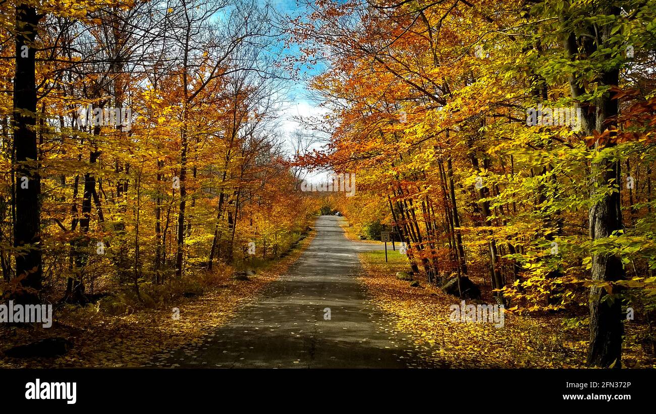 Trip and fall concrete hi-res stock photography and images - Alamy