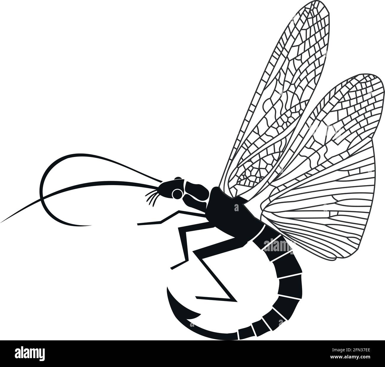 Stonefly Stock Vector Images - Alamy