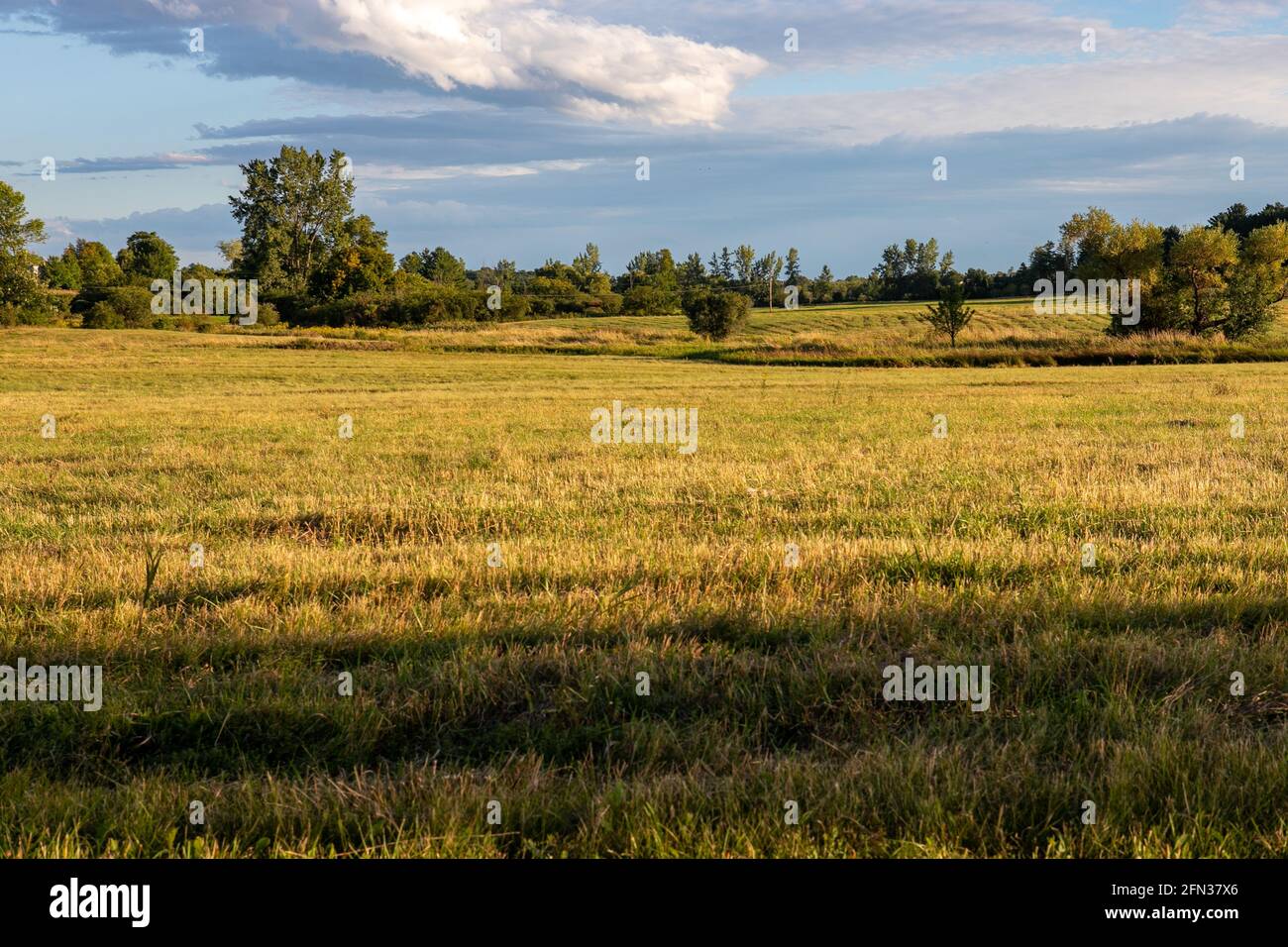 Vermont pastures hi-res stock photography and images - Alamy