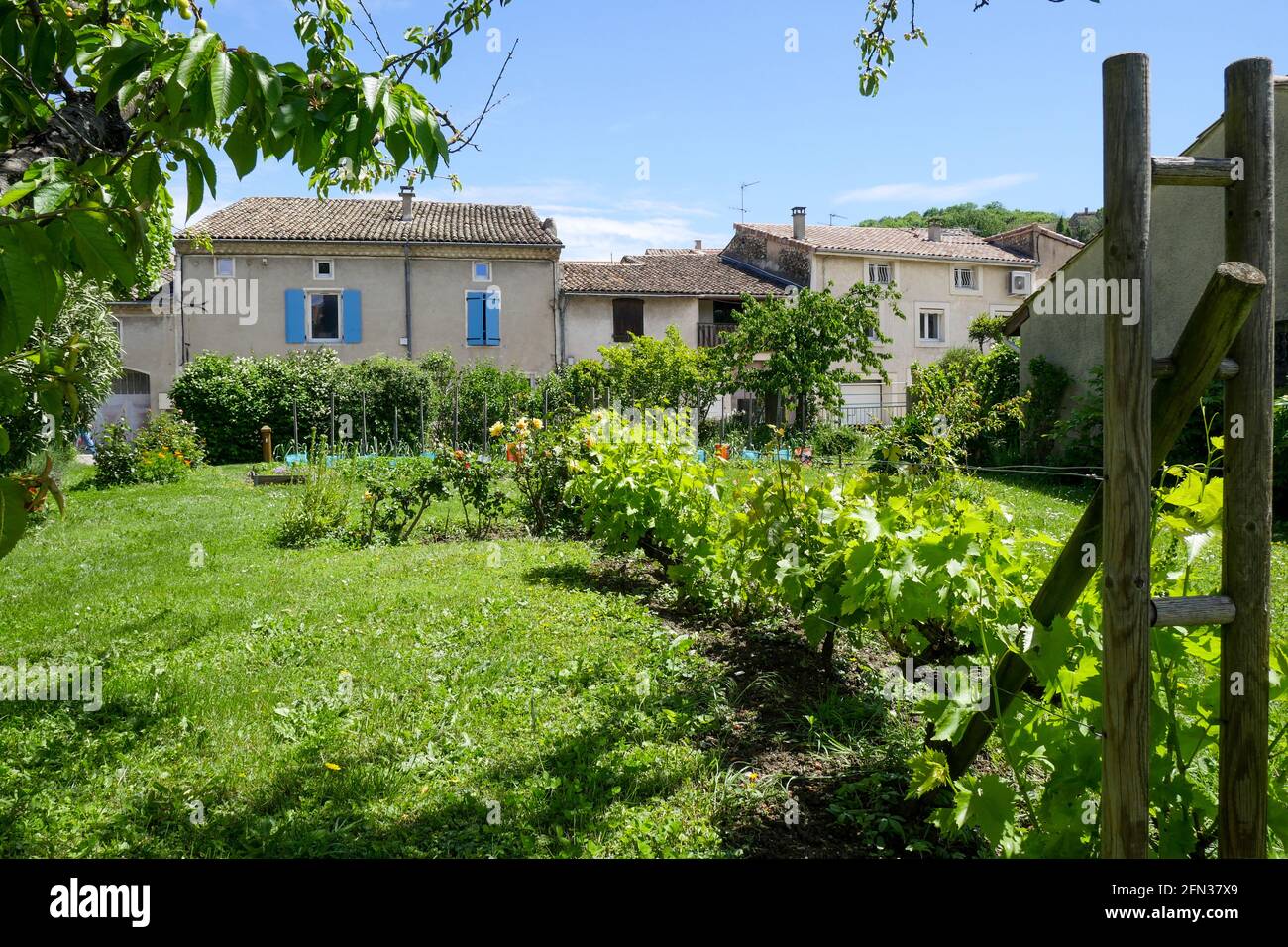 Garden in spring, Livron, Drôme, France Stock Photo - Alamy