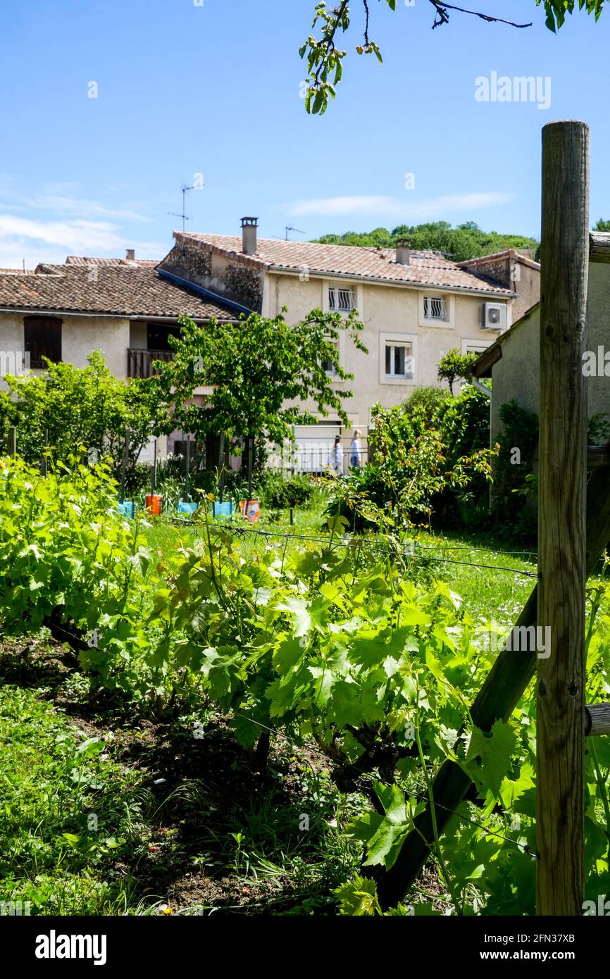 Garden in spring, Livron, Drôme, France Stock Photo - Alamy