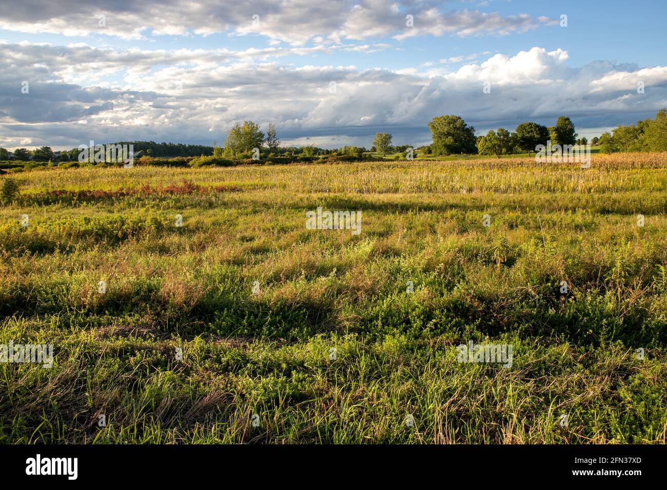 Vermont pastures hi-res stock photography and images - Alamy