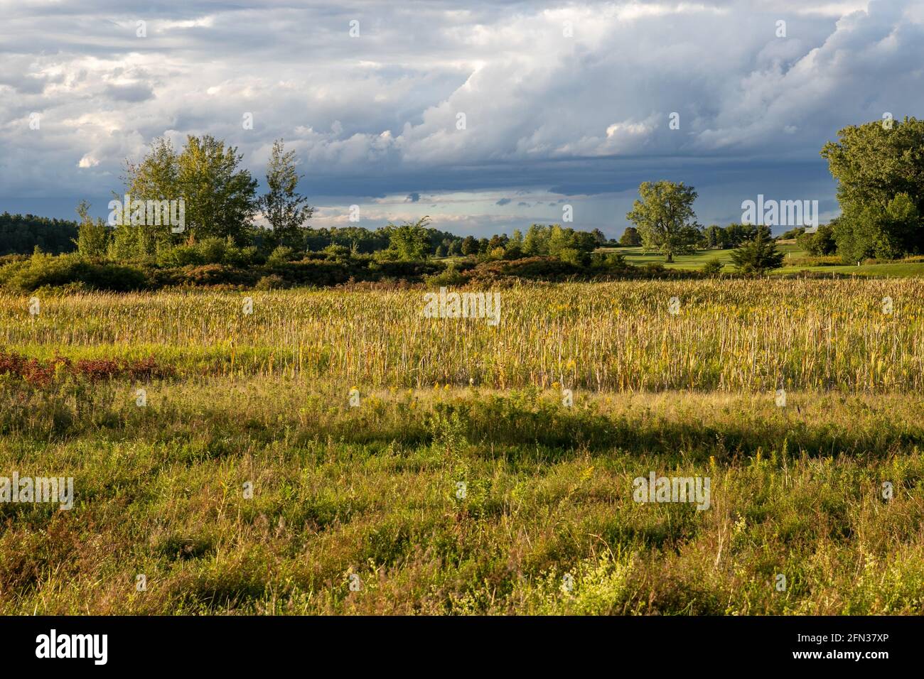 Vermont pastures hi-res stock photography and images - Alamy