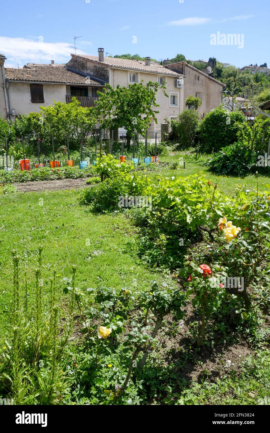 Garden in spring, Livron, Drôme, France Stock Photo - Alamy
