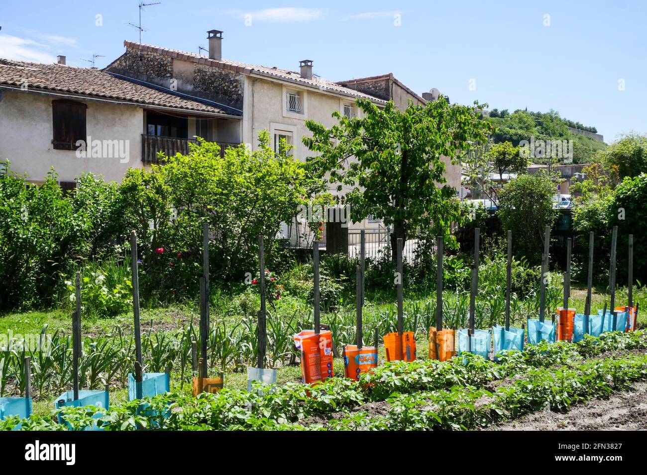Garden in spring, Livron, Drôme, France Stock Photo - Alamy