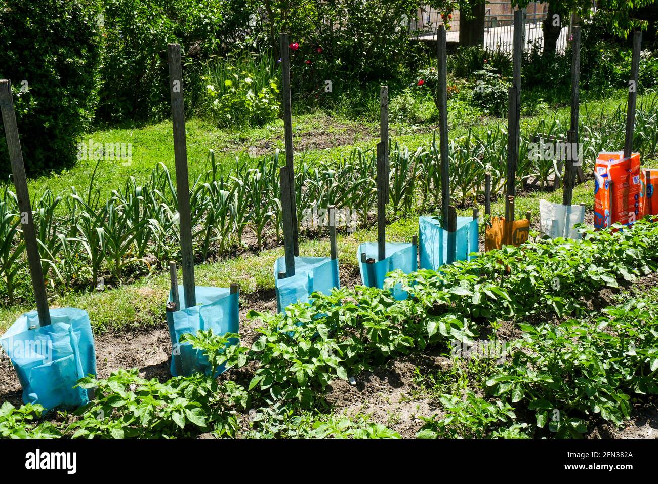 Garden in spring, Livron, Drôme, France Stock Photo - Alamy