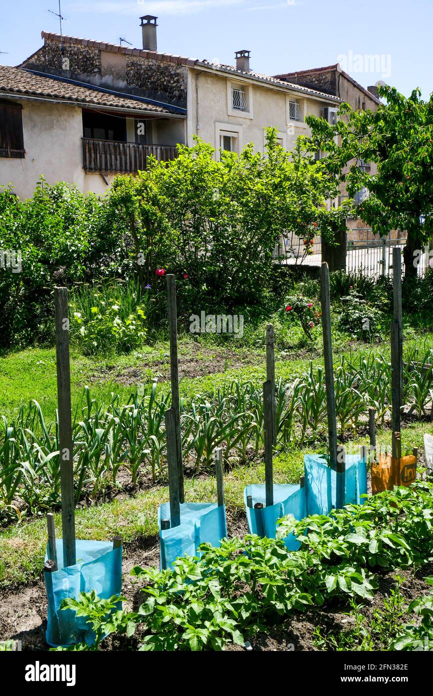 Garden in spring, Livron, Drôme, France Stock Photo - Alamy