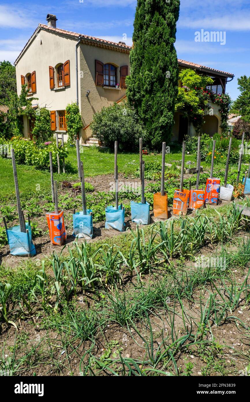 Garden in spring, Livron, Drôme, France Stock Photo - Alamy